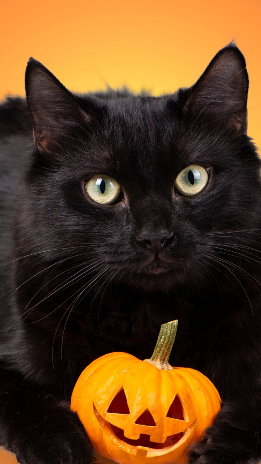115 Halloween Messages For Boss [Professional and Fun]